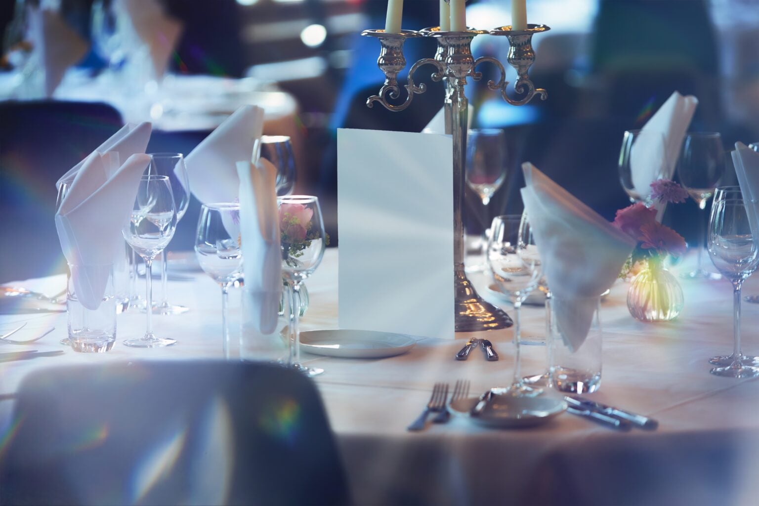 Vendor & Logistics Oversight - Chasen Shaw